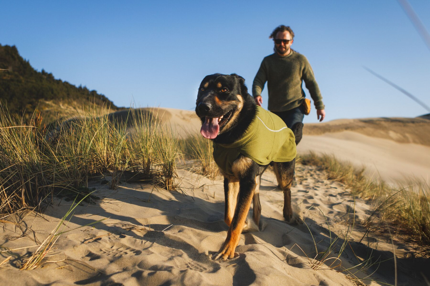 A Guide to Ruffwear's Apparel Fit | Ruffwear