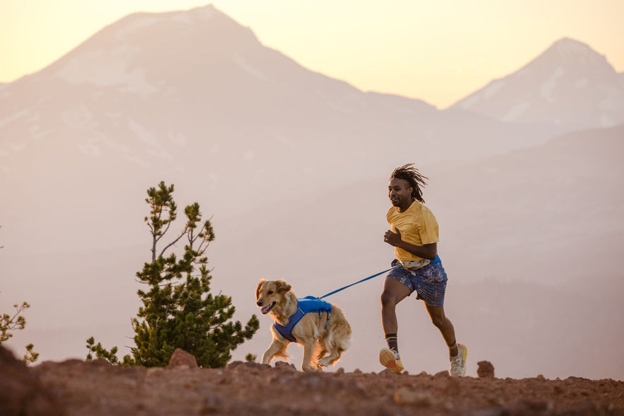 4-Week 5K Training Plan for Running with Your Dog | Ruffwear