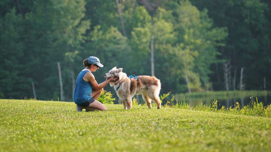 The Life of Riley: Adventuring with My Senior Dog | Ruffwear