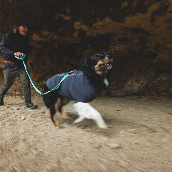 Performance Dog Gear | Ruffwear