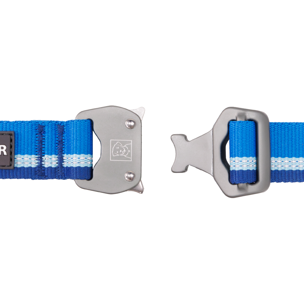 Top Rope™ Dog Collar | Metal Buckle & Strong Comfortable Webbing | Ruffwear