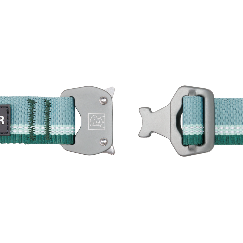 Top Rope™ Dog Collar | Metal Buckle & Strong Comfortable Webbing | Ruffwear