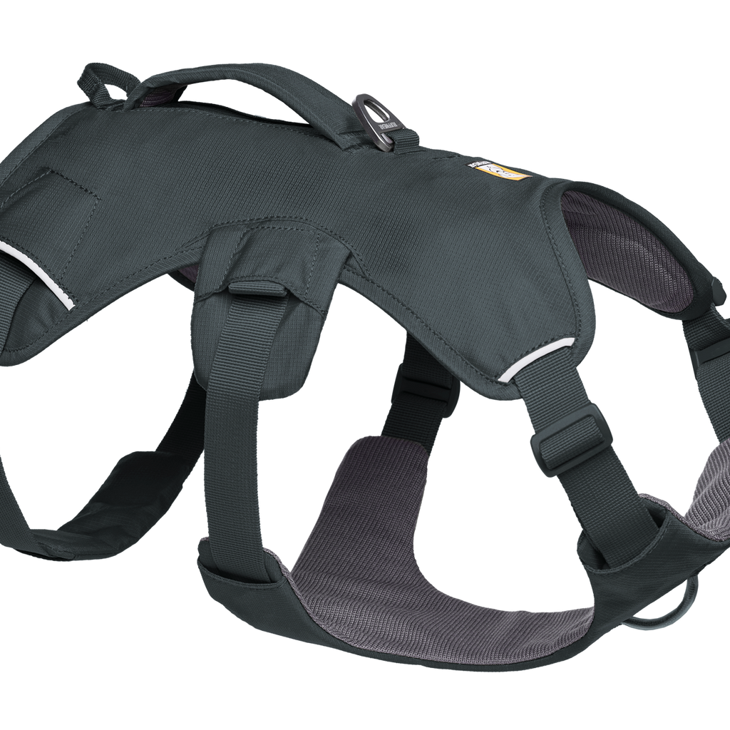 Web Master™ Dog Harness with Handle | Ruffwear