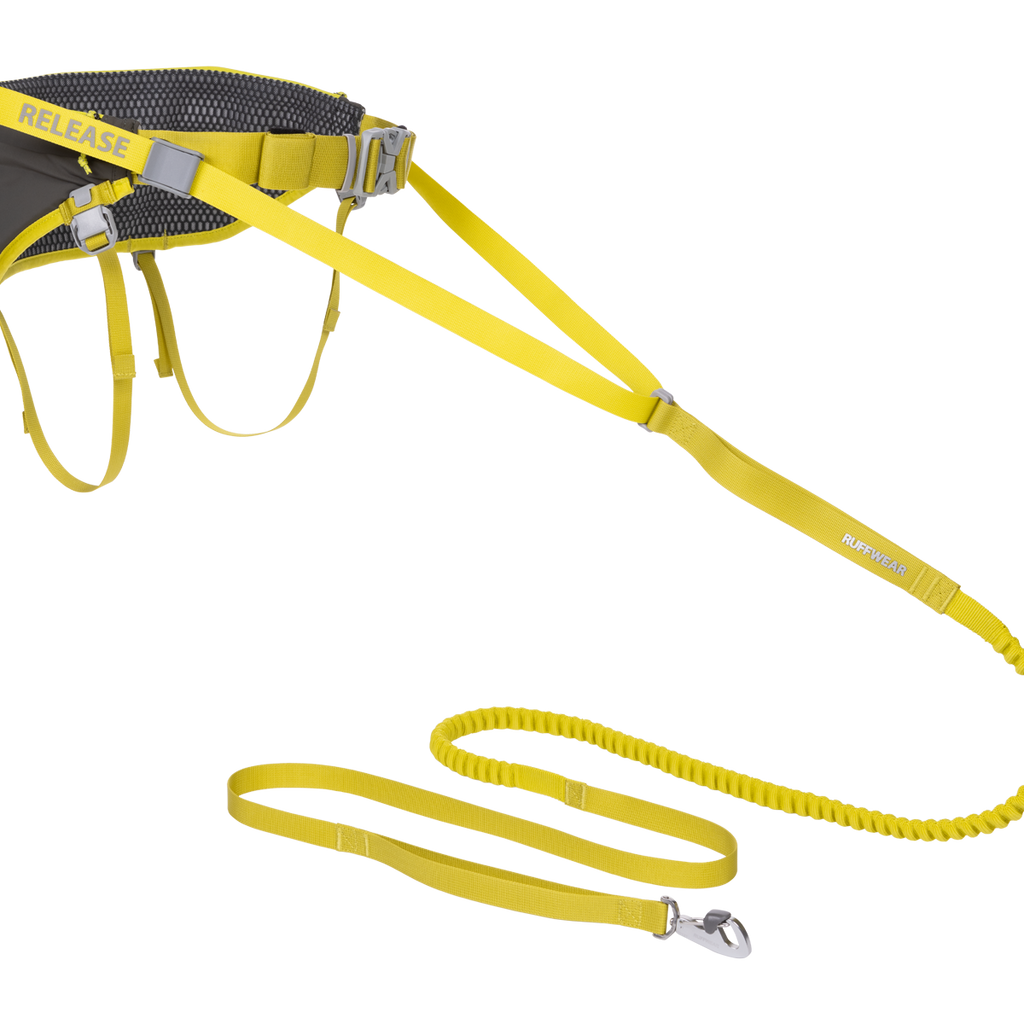 Omnijore™ Dog Joring System | Skijoring, Bikejoring & Canicross | Ruffwear
