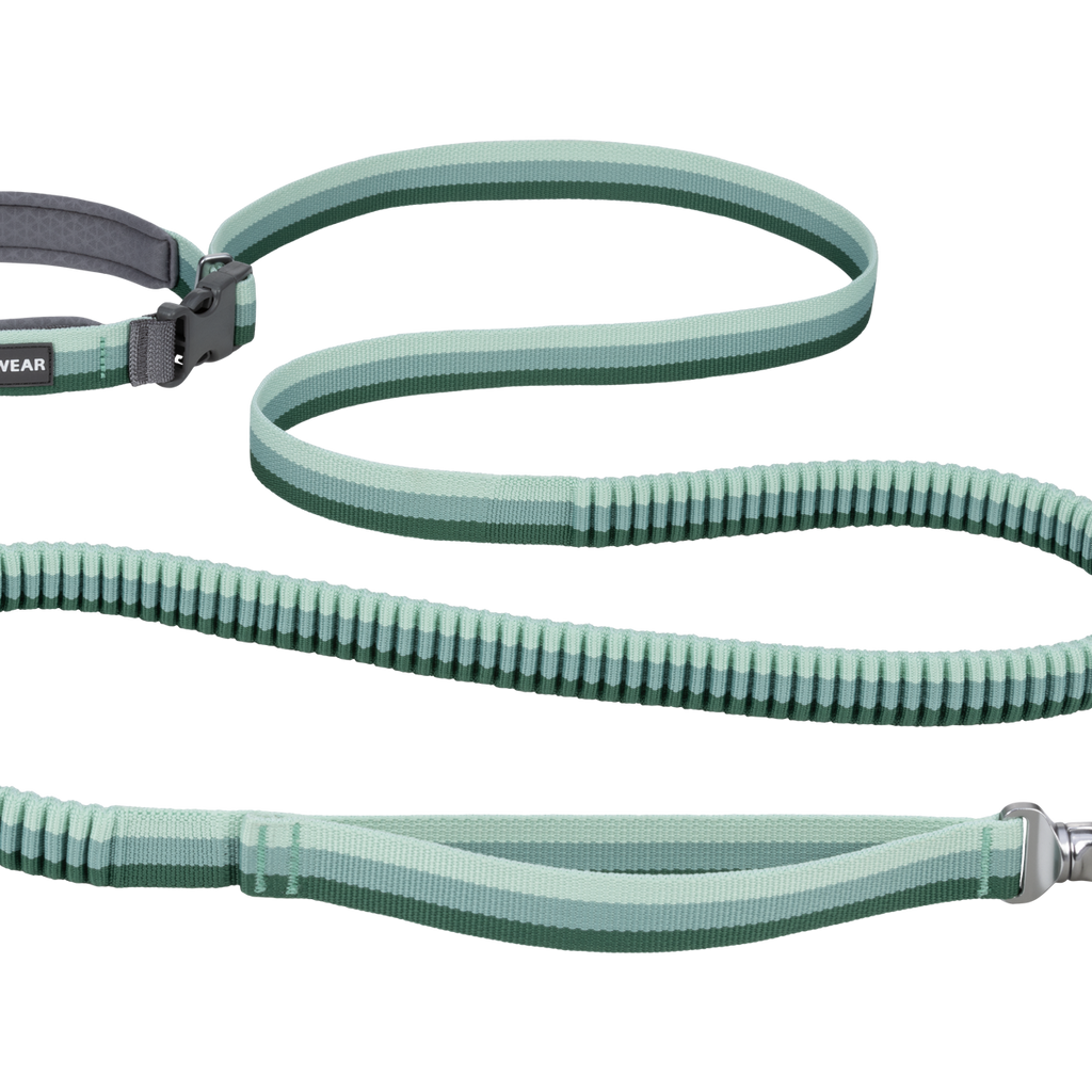 Roamer™ Bungee Dog Leash with Traffic Handle | Ruffwear