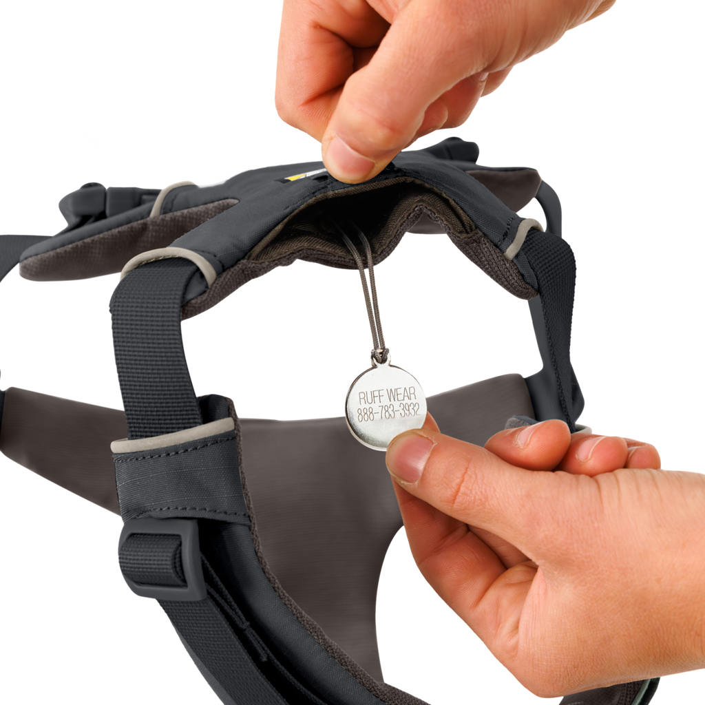 Front Range® Dog Harness | Ruffwear Front Range® Dog Harness | Ruffwear