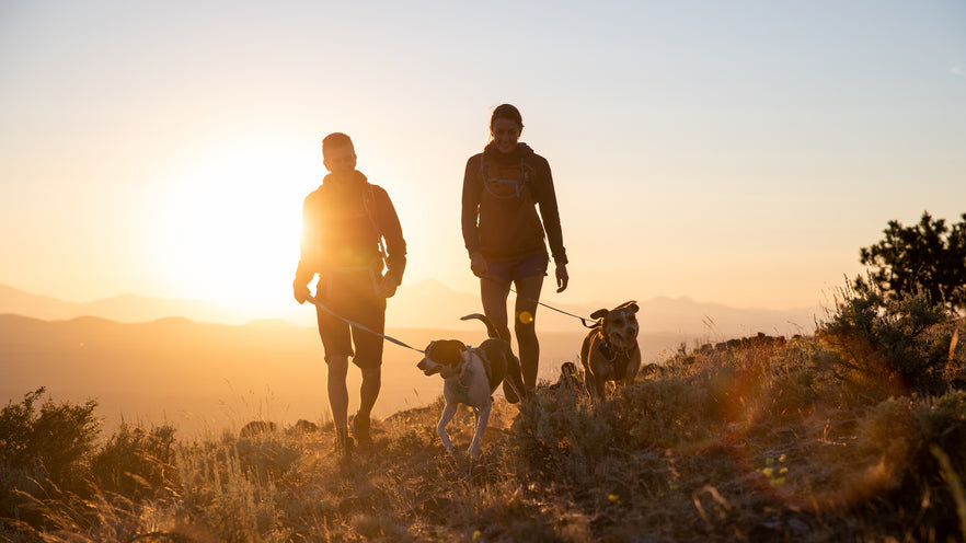 Our Pack | Ruffwear | Ruffwear