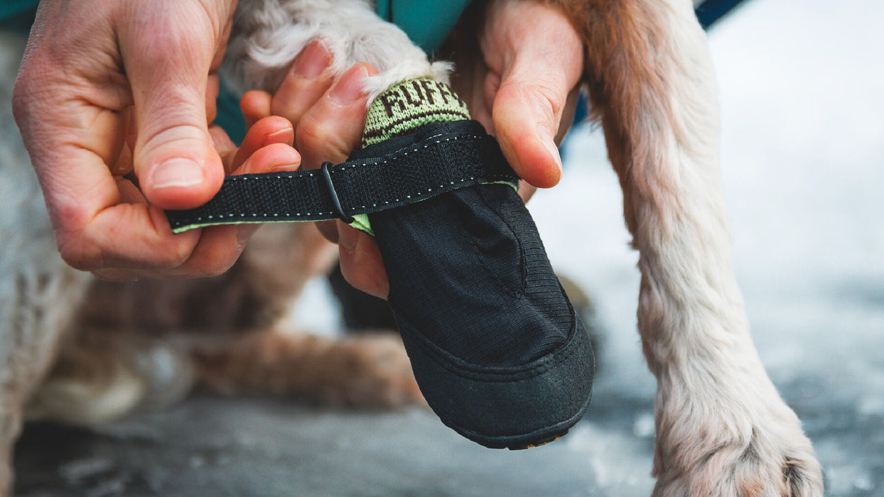 Summit Trex™ Dog Boots | Everyday Paw Protection | Ruffwear