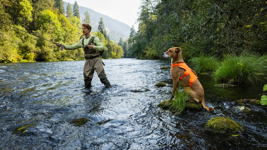 Pack Perks™ Terms & Conditions | Ruffwear