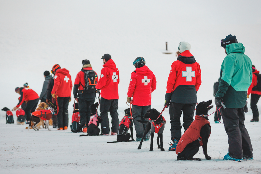 Collections | Ruffwear