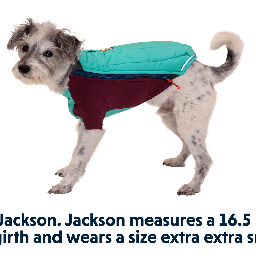 Powder Hound™ Winter Dog Jacket | Hybrid Insulated Winter | Ruffwear