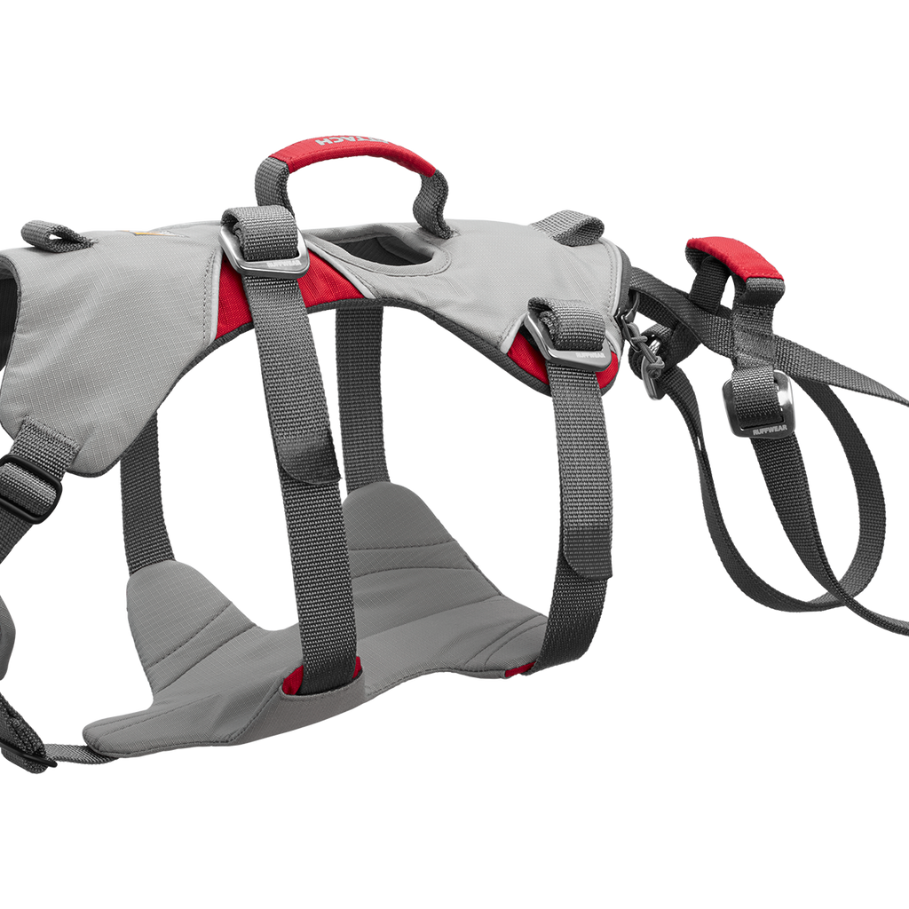 Doubleback™ Full Body Dog Safety Harness | Ruffwear