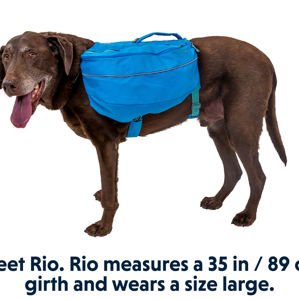 Approach™ Dog Backpack | Pack for Dogs | Ruffwear