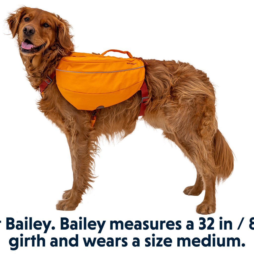 Approach™ Dog Backpack | Pack for Dogs | Ruffwear